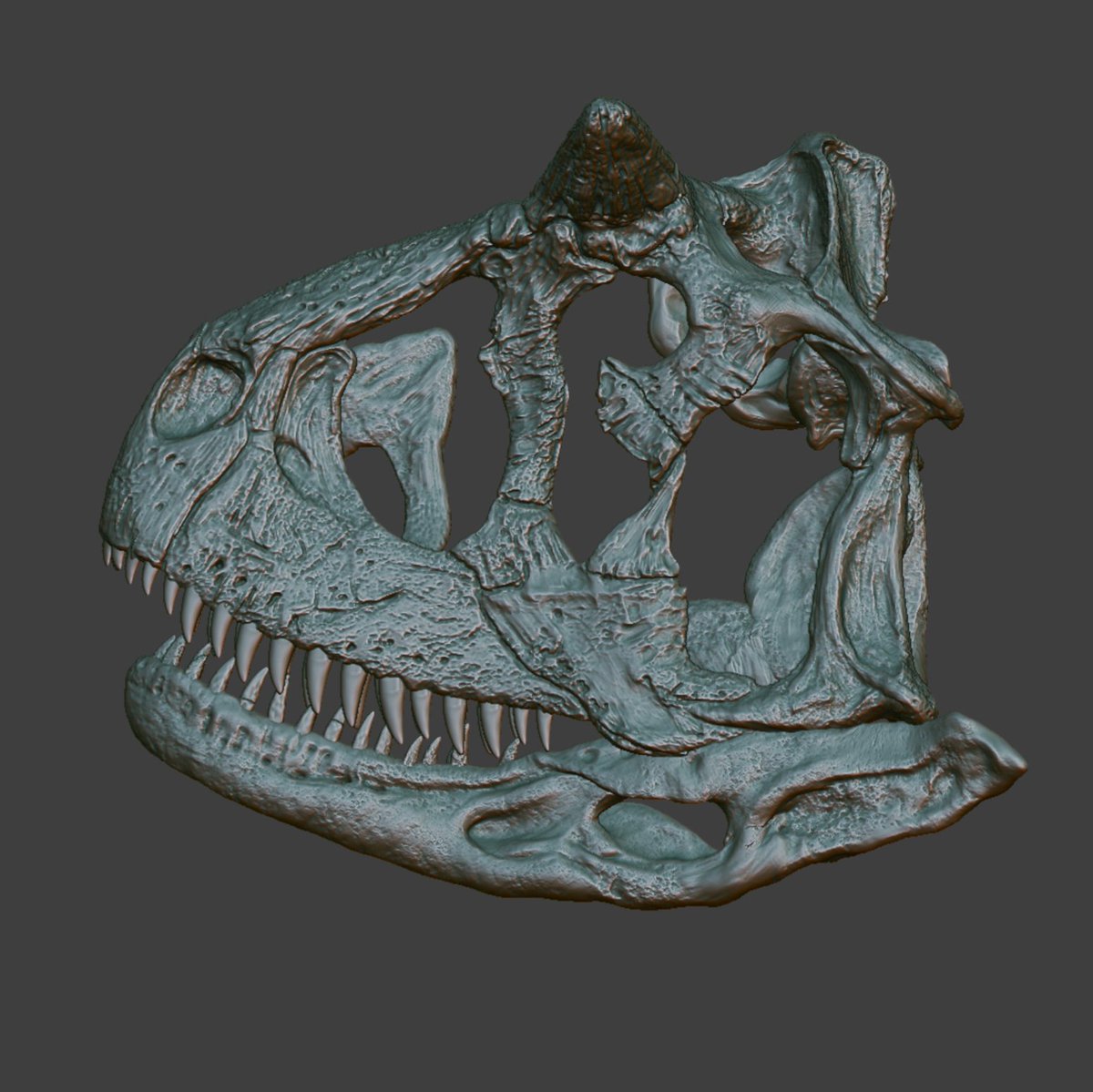Carnotaurus Skull Stl