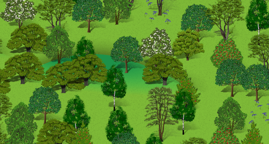 Birds Eye View Tree Drawing Birds Eye View Tree Images Free Download
