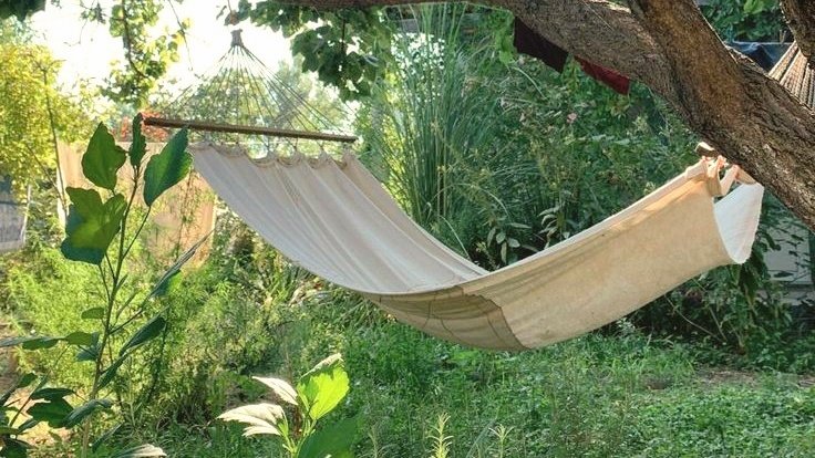 Take a little rest 🕊️ - Download Tweet Image from i' @moodyonmoon ...