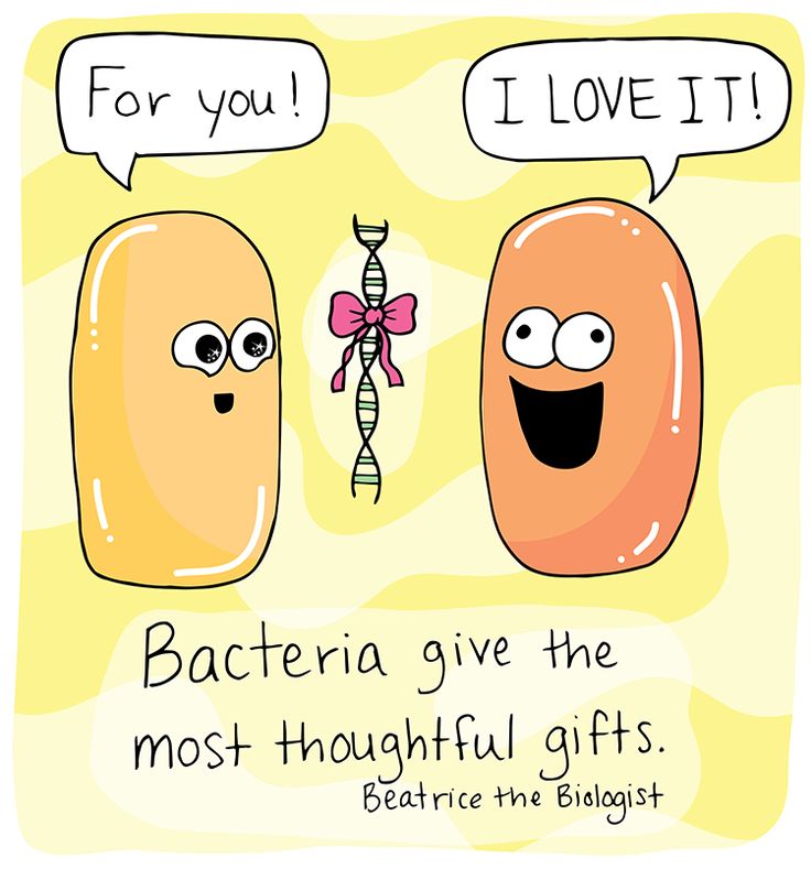 Food Microbiology Quotes Food Microbiology – One Education