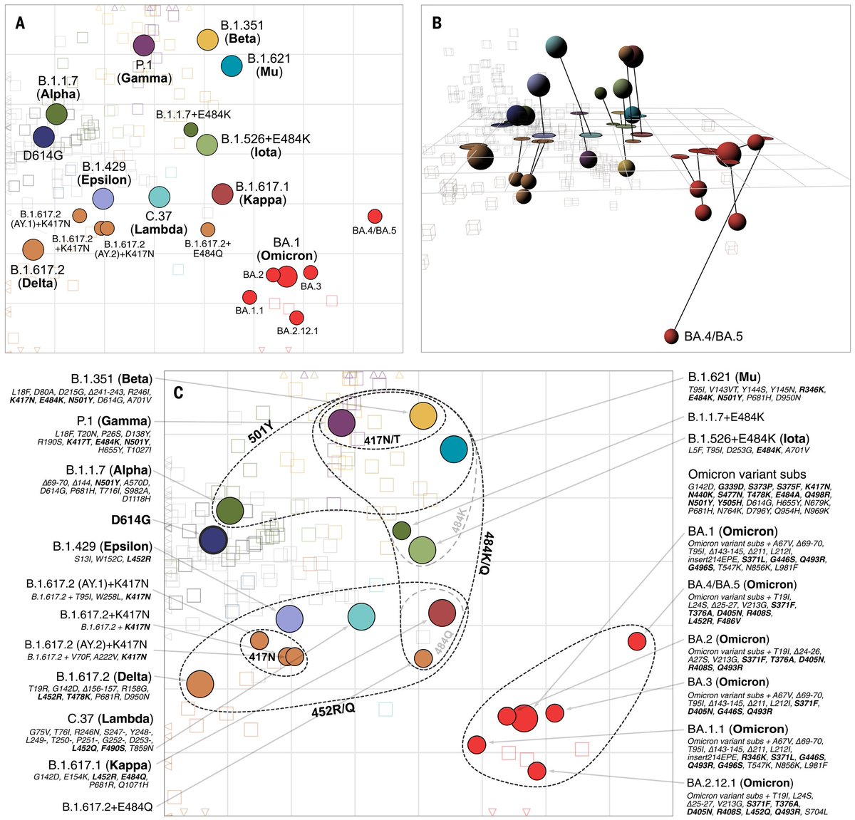 People DIFFER in how VULNERABLE they are to DIFFERENT MUTATIONS in ...