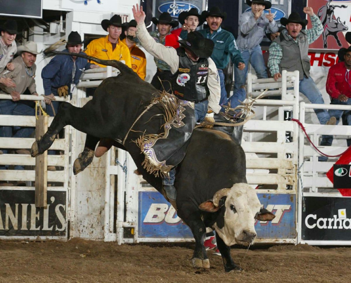 Pbr Bulls Hall Of Fame