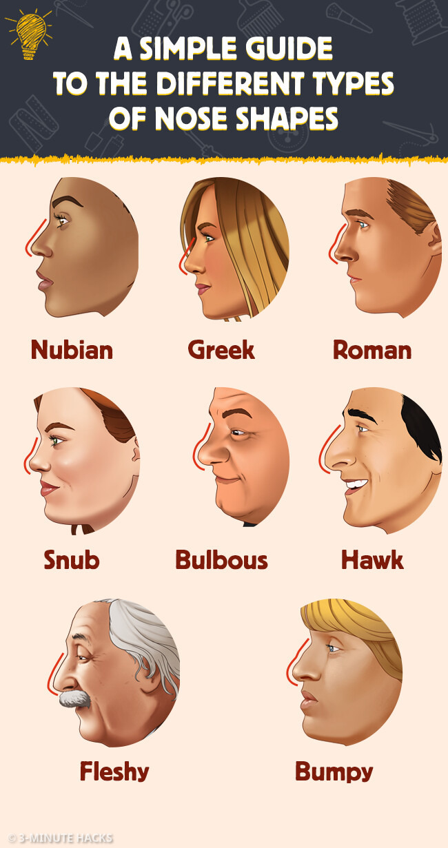 Types Of Noses Shapes