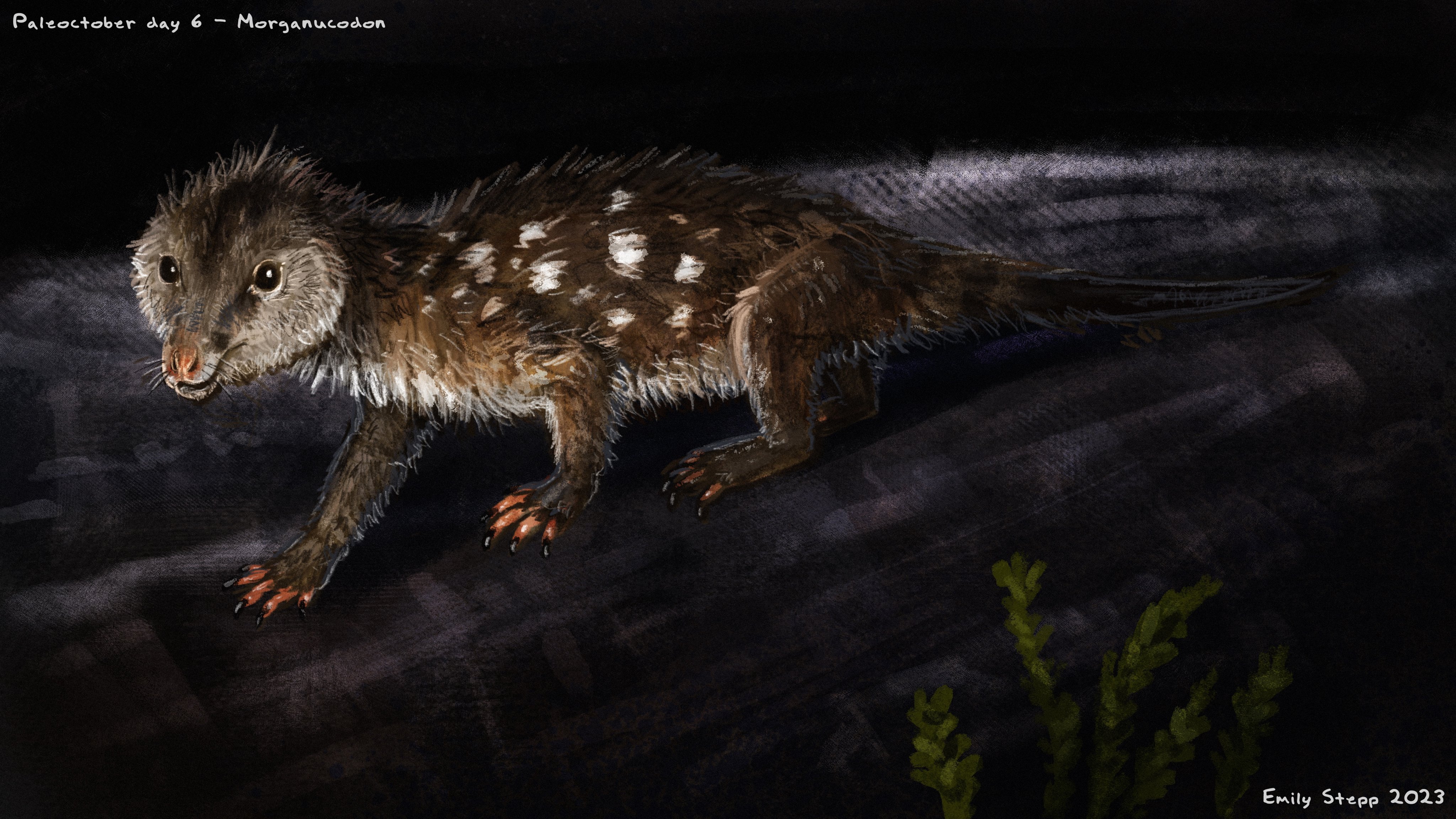 Morganucodon Evolution