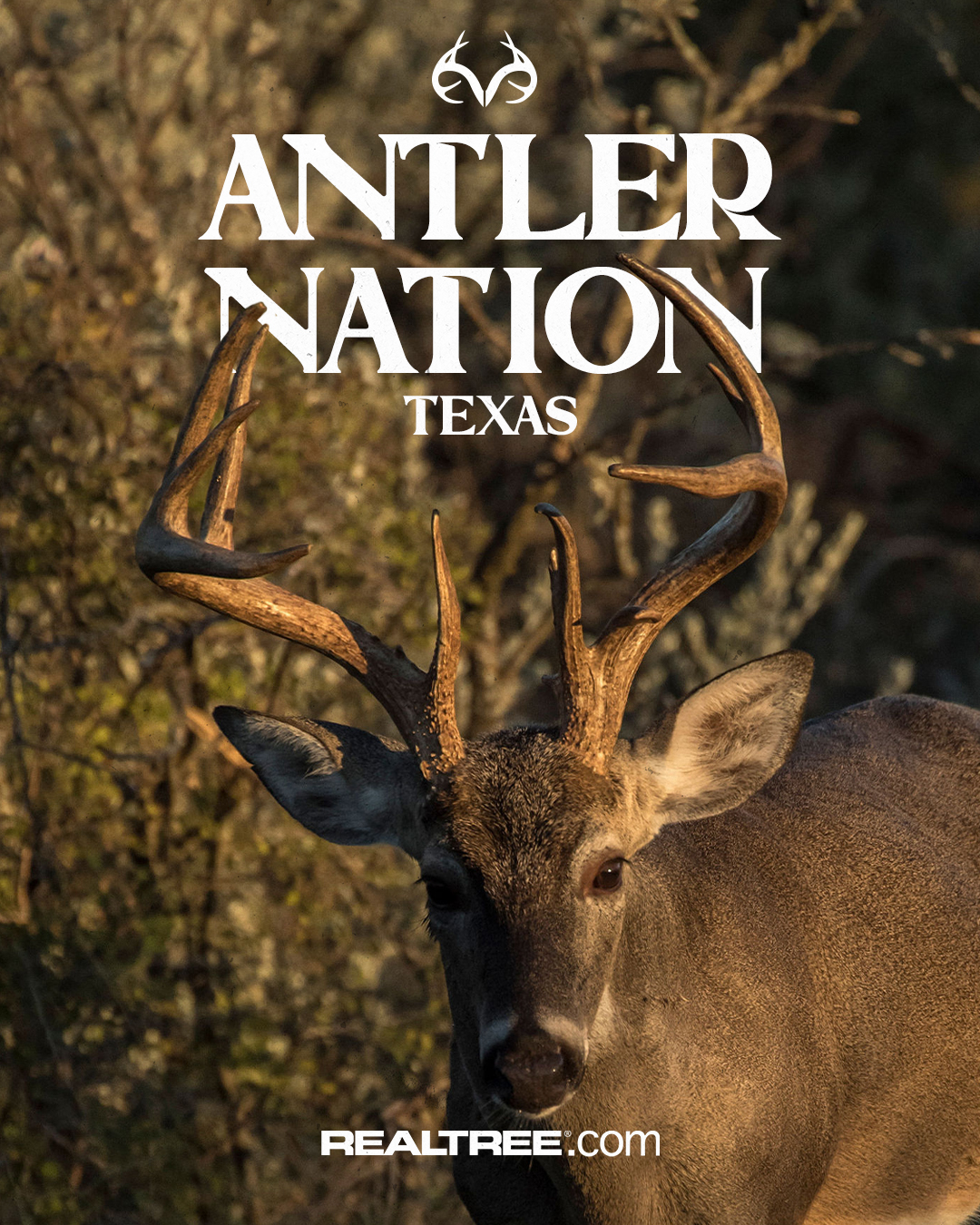 Realtree Antler Logo