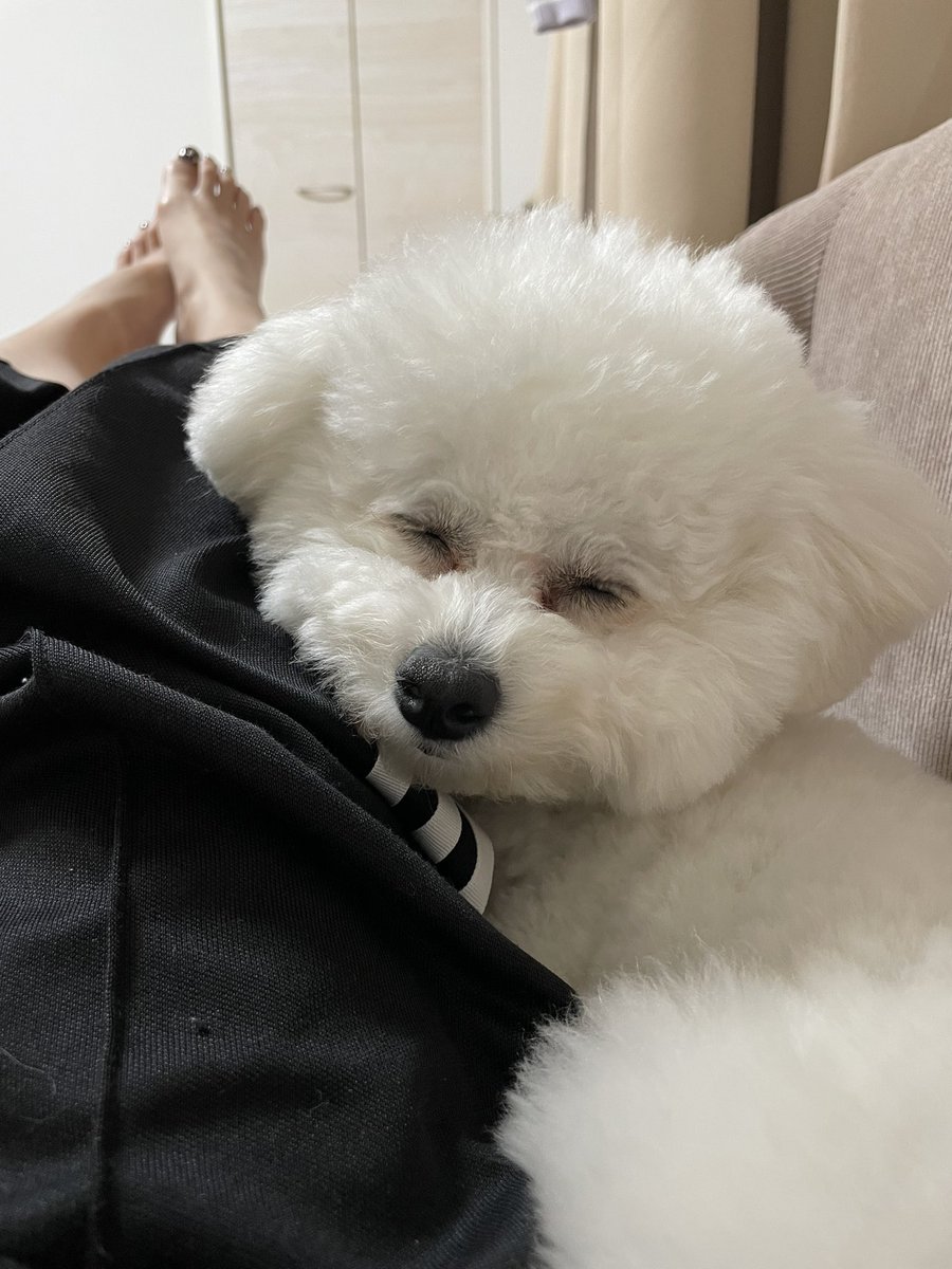 CARIN(@crn1014) さんの裏垢画像・動画 – 裏垢女子ランキングナビ