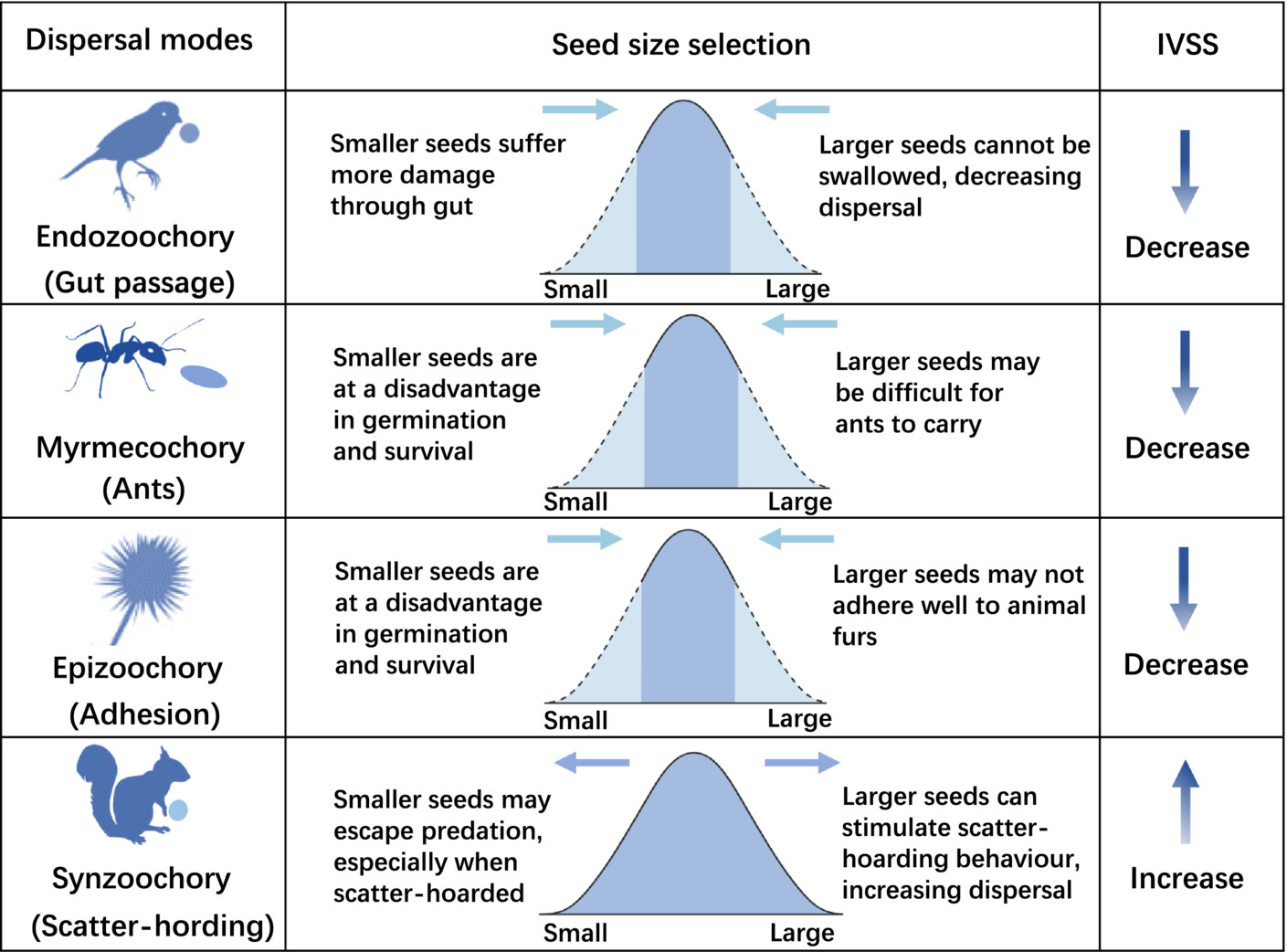 Seed Dispersal For Survival