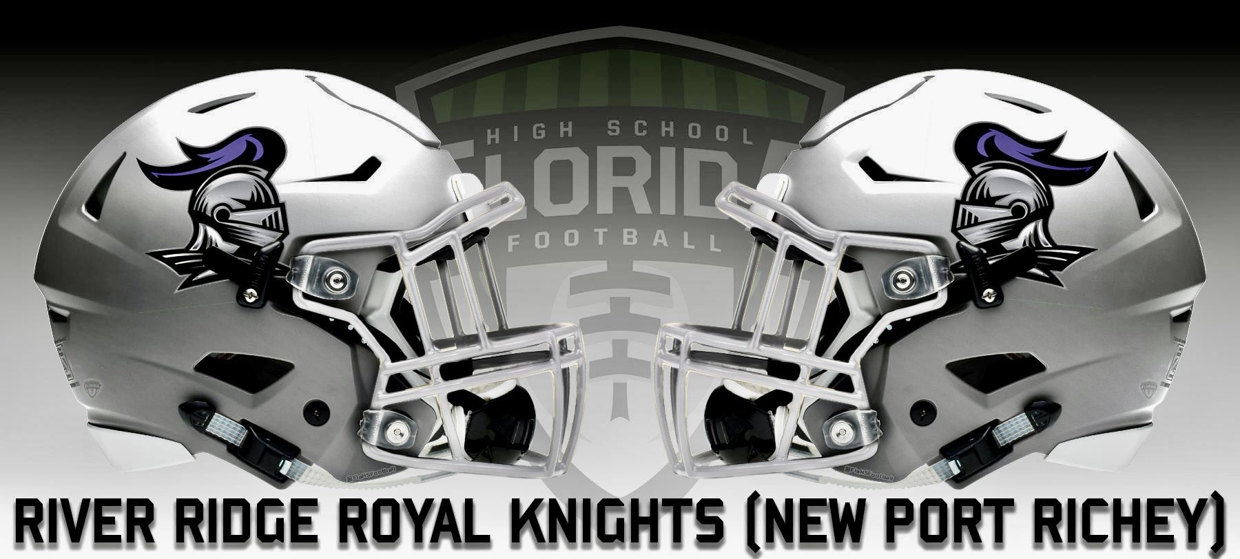 Royal Knights Helmet