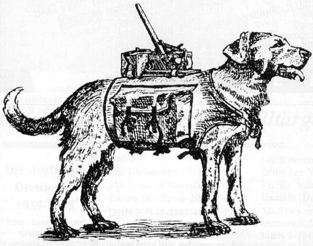 In WWIl the Russians trained dogs to run under German tanks with bombs ...