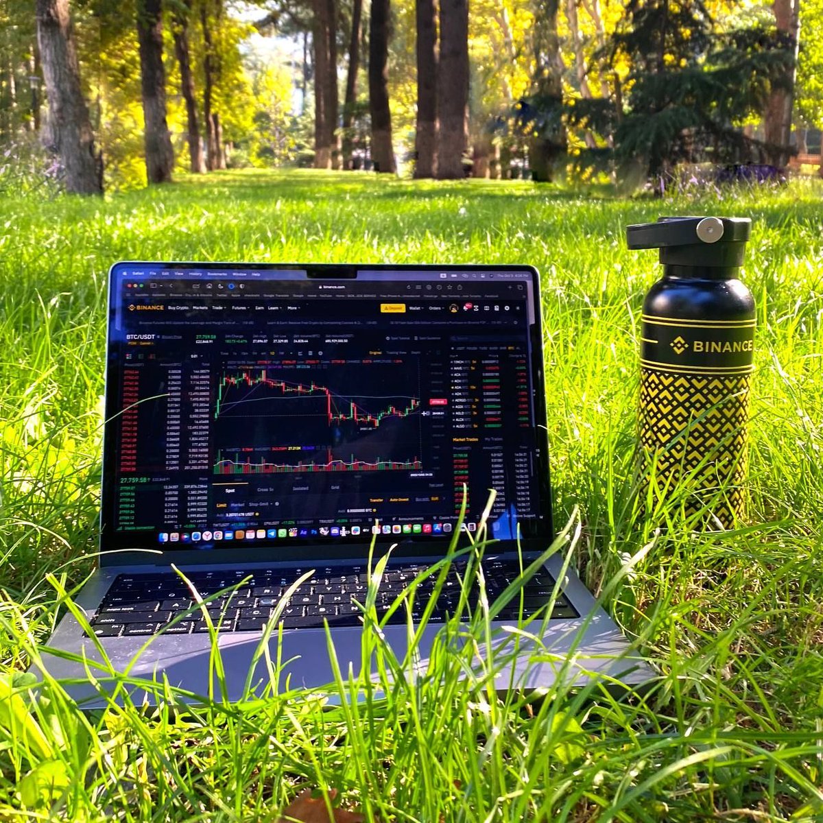 Just a regular day, touching grass 🌱 📸 @vaniko_17 - Thread from Binance ...