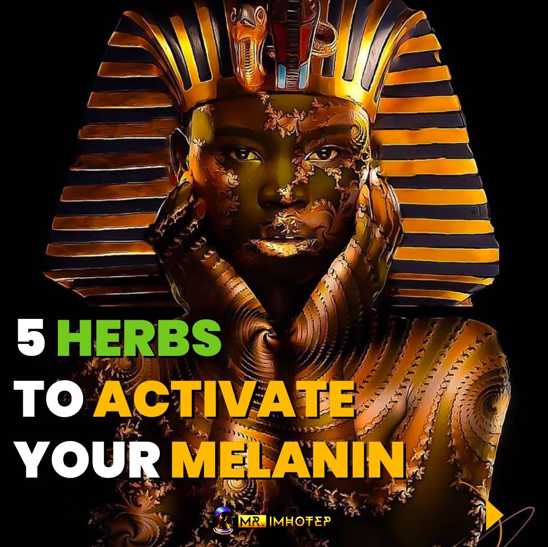 Do you know these herbs? Time to take notes 📝 - Thread from Mr. Imhotep ...