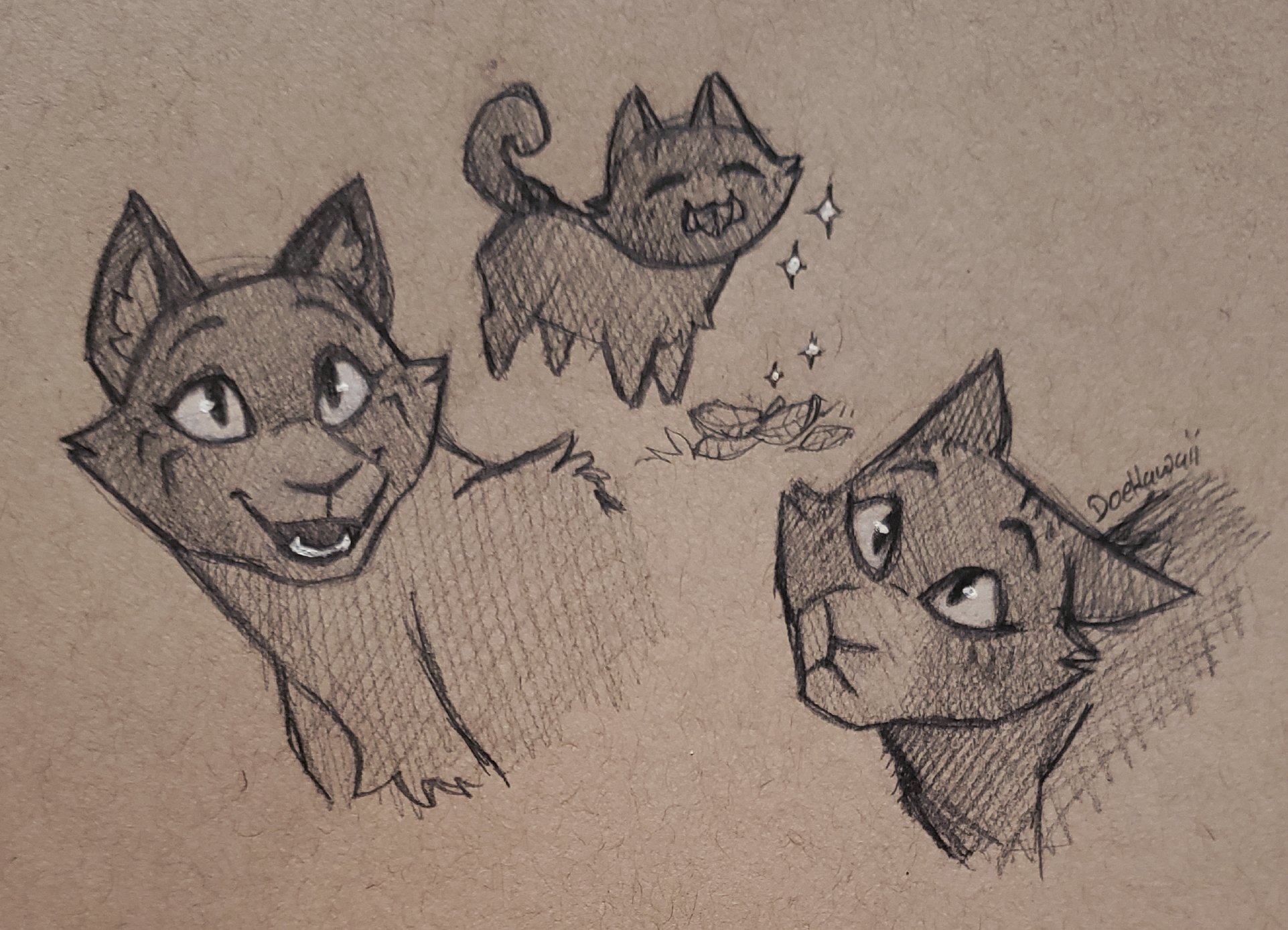 Warrior Cat Pencil Drawings