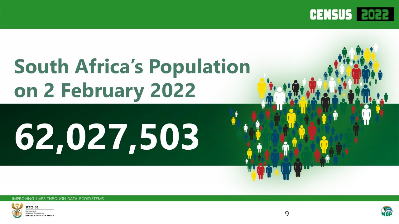 Statistics South Africa Logo