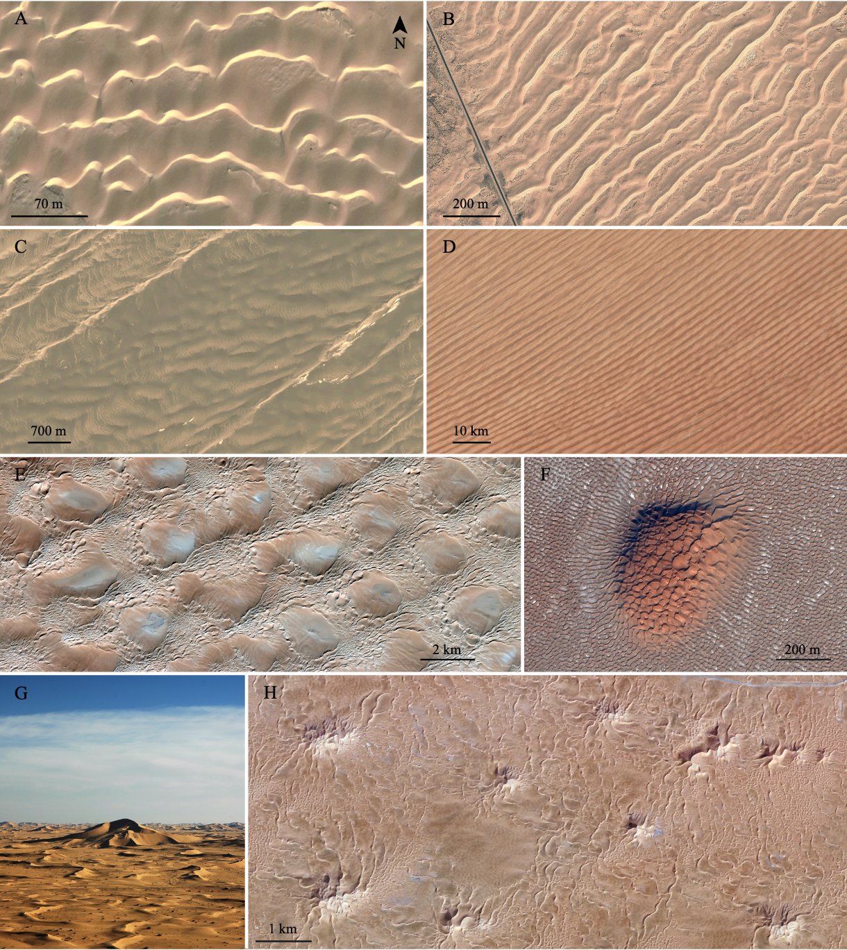 Barchanoid Sand Dunes