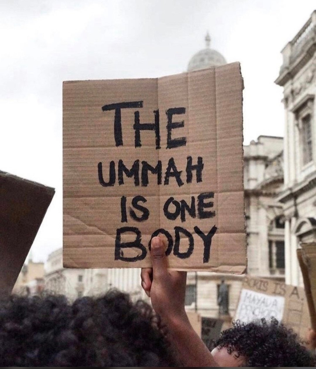 One Ummah One Body