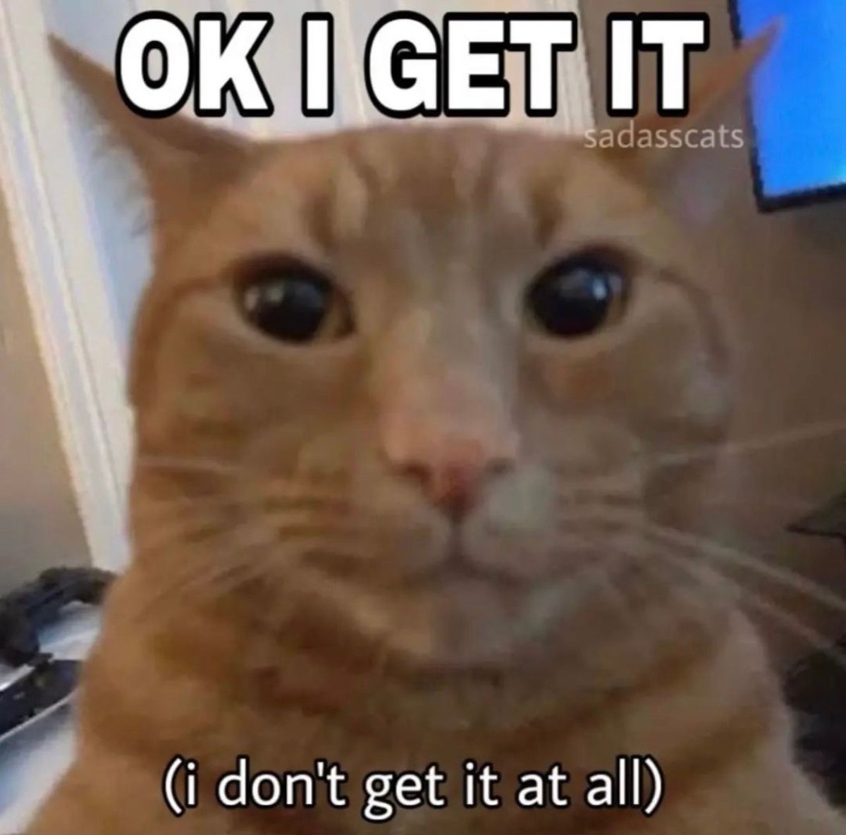 aly @ribcagedaisies - Twitter Profile | Sotwe