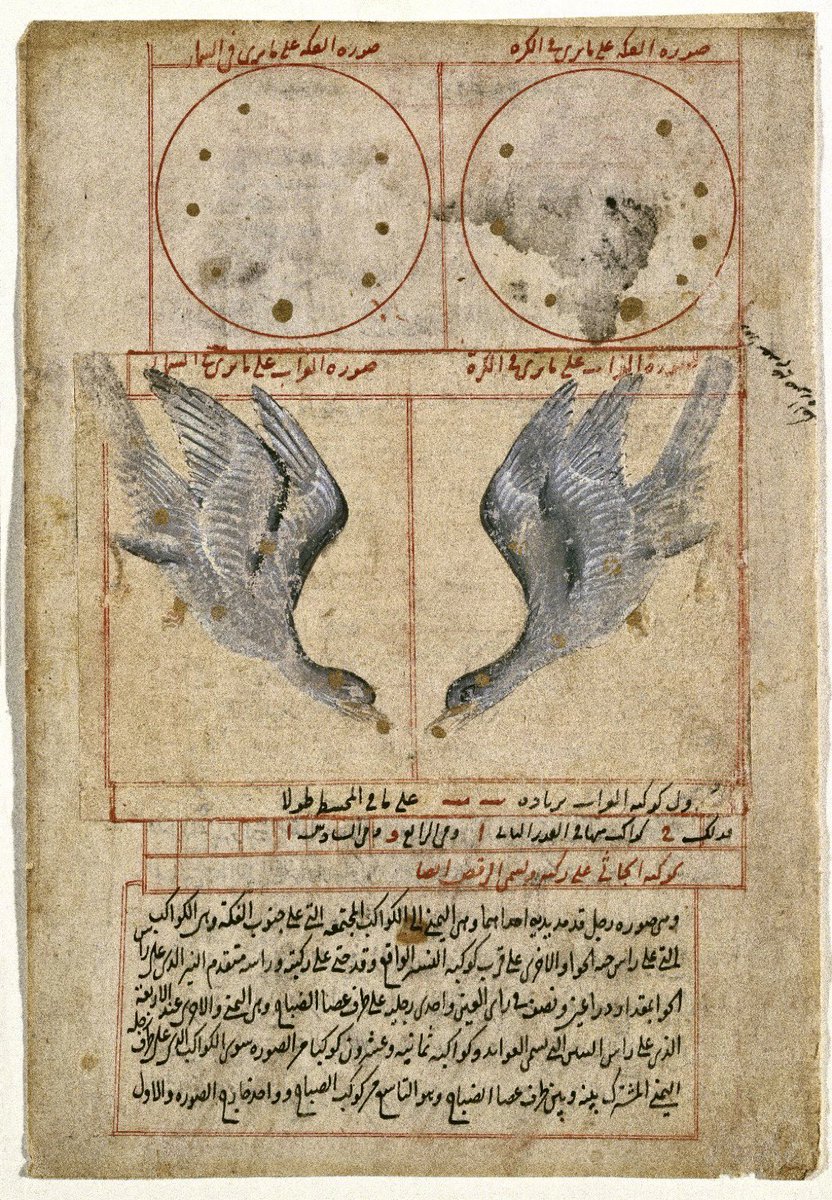 Over two thirds of prominent stars known today in the night sky have ...