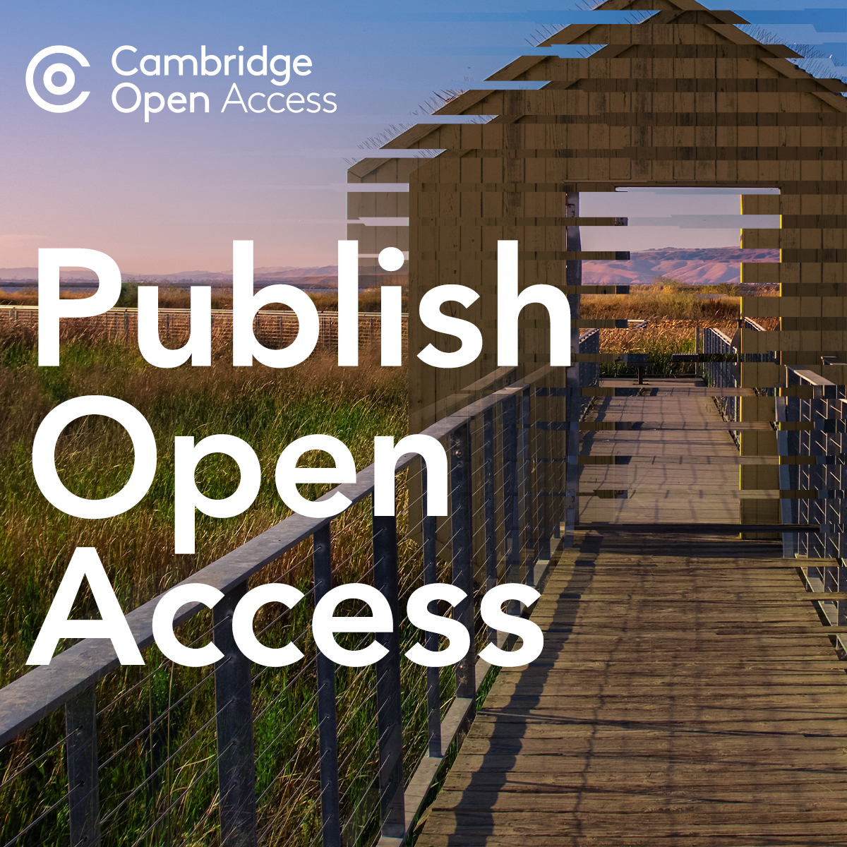 The oldest parasite DNA ever recorded has been found in the ancient ...