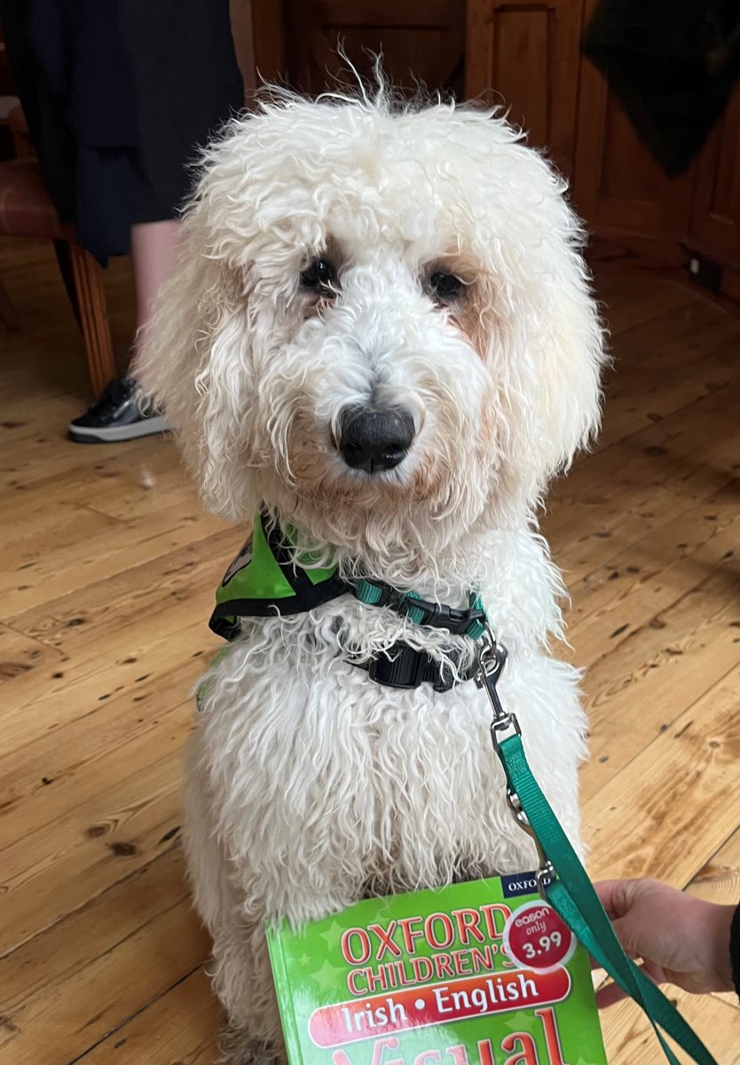 Marie Cooney's Instagram, Twitter & Facebook on IDCrawl