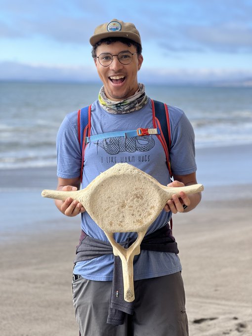 Tyus D. Williams @sciencewithtyus profile | Musk Viewer