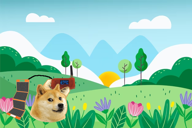 Wallpaper Much Doge Doge Wallpapers - Top Free Doge Backgrounds ...