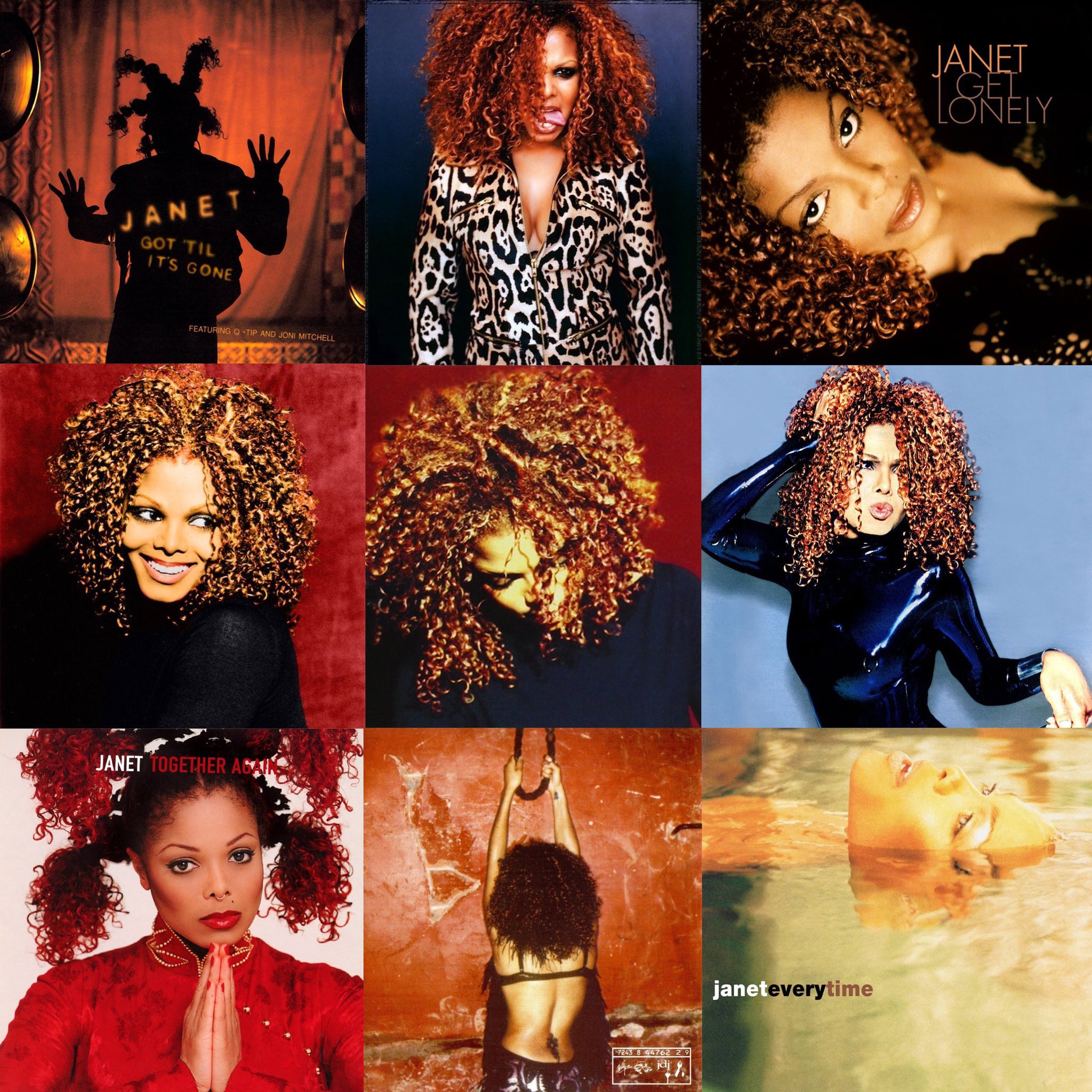 The Velvet Rope Album Cover