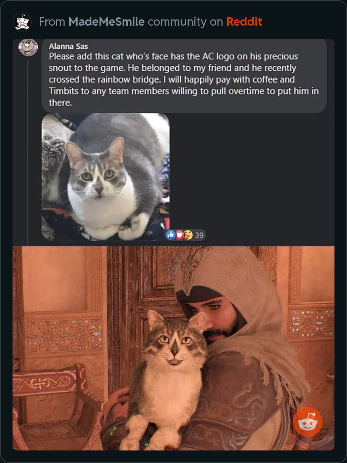 Assassins Cat Wallpaper ACR Cat Photo Contest! Post... Assassin's