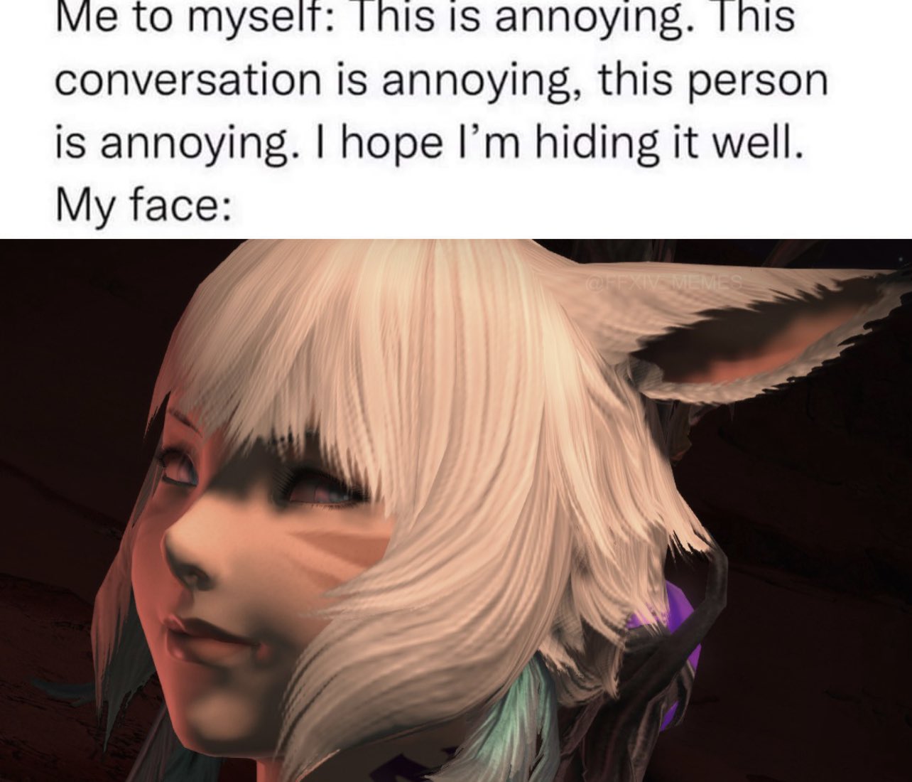 Memes Ffxiv