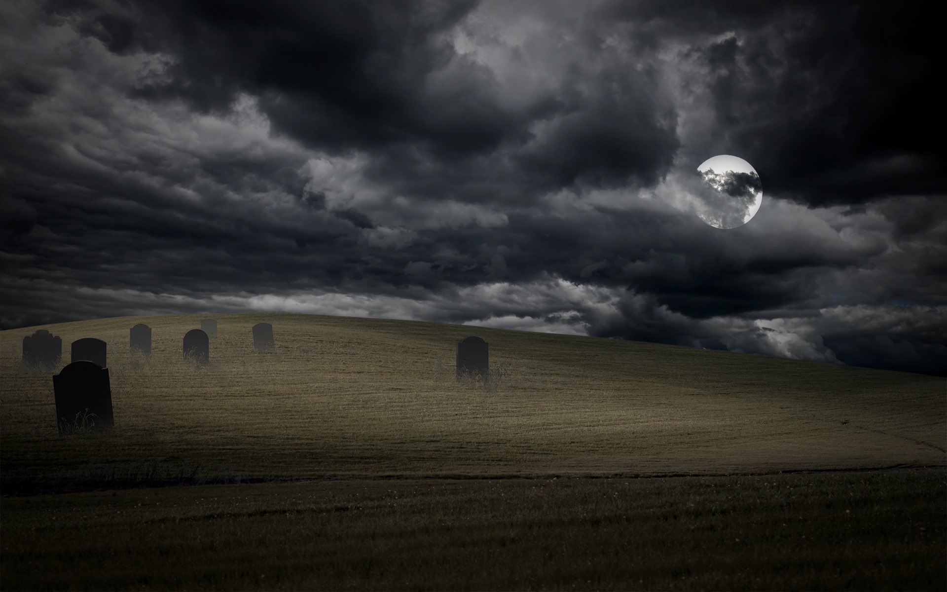 Xp Bliss Night Windows XP Wallpaper Bliss ·① WallpaperTag