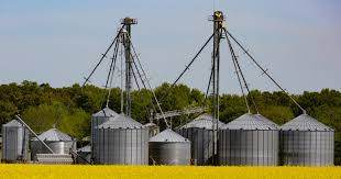 FARMING LESSON: CROP STORAGE: (a). DEFINITION: Crop storage is the ...