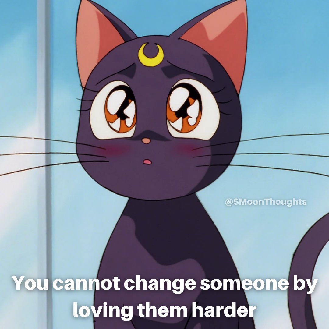 Sailor Moon Luna Quotes “kennyandkitty.edits” Bro What Possessed