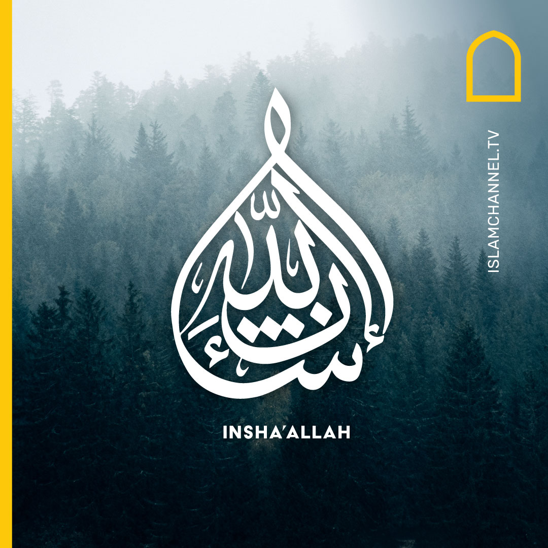 Insha Allah Quotes Inshallah, One Day I Will Be Blessed With Children.