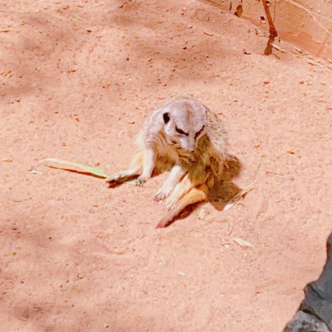 「everybody」のTwitter画像/イラスト(新着))