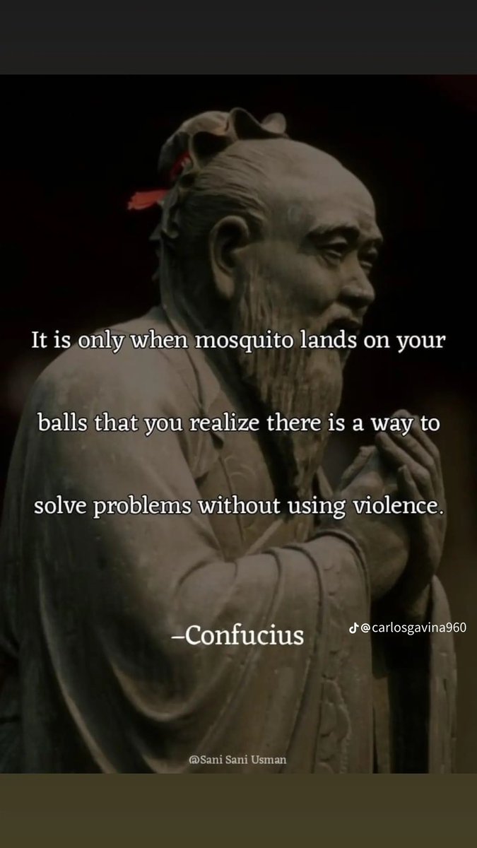 Confucius Meme Mosquito
