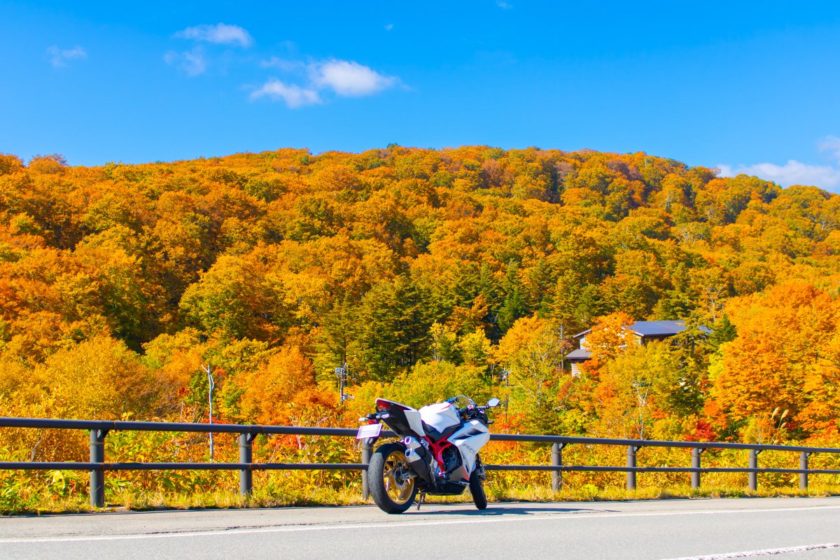 本ゆとす(@hon_yts) - Twilog