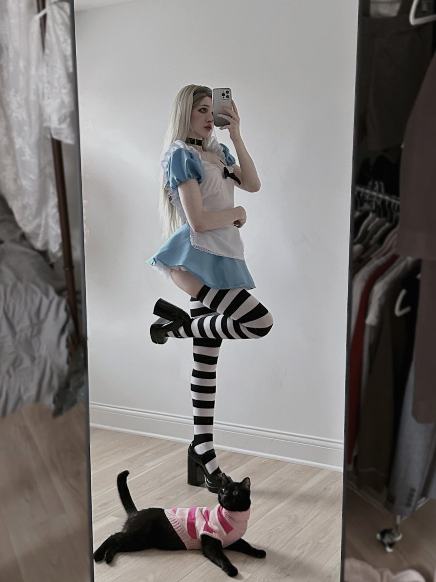 hi nora 🌱 @norafawn