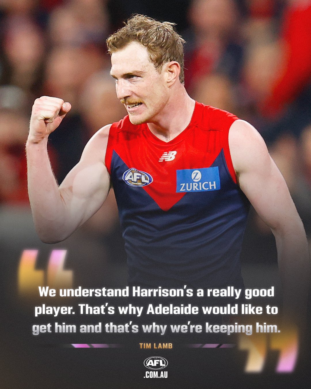 Good Afl Quotes You're Quite Brilliant, Ross: Lyon's Best One Liners