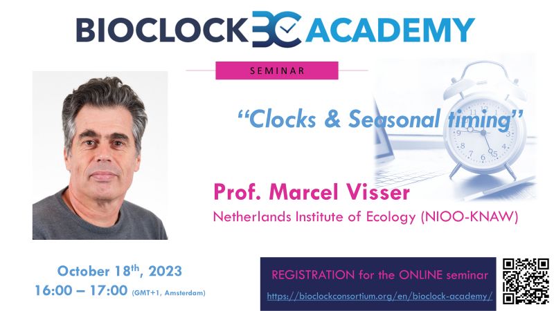 Bioclock Project | The impact of light on our biological clock