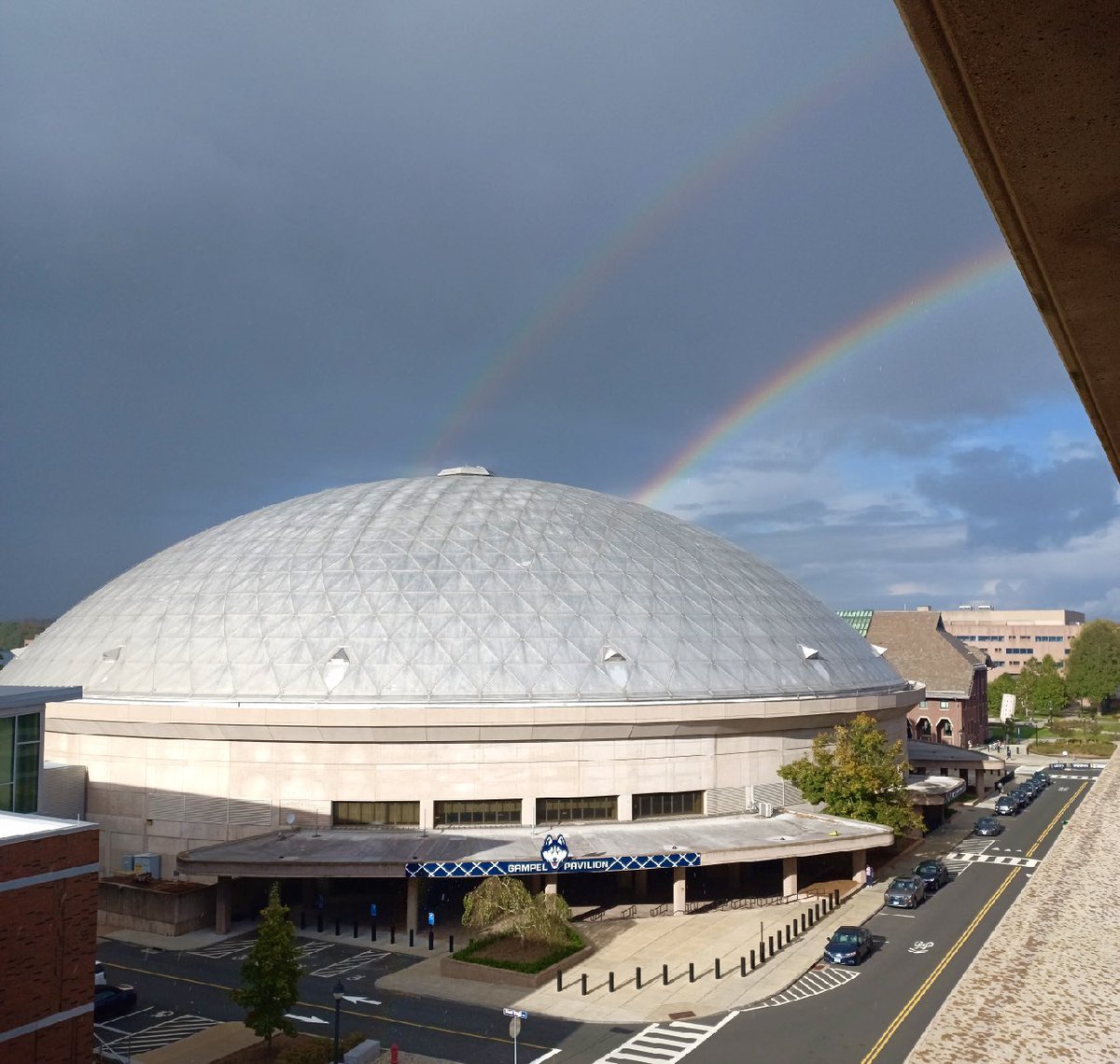 Gampel Pavilion Roof