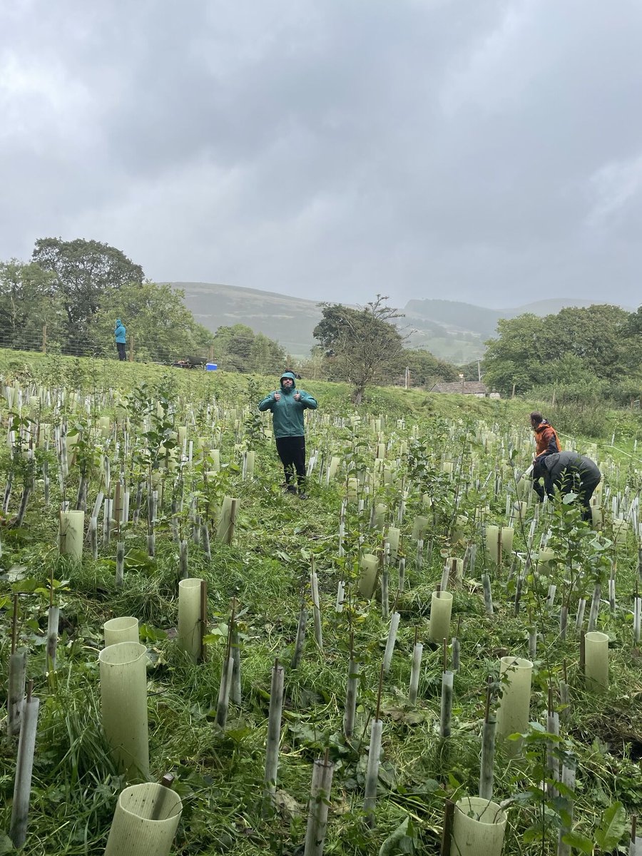 Learn about impactful projects that WSP graduates volunteer for