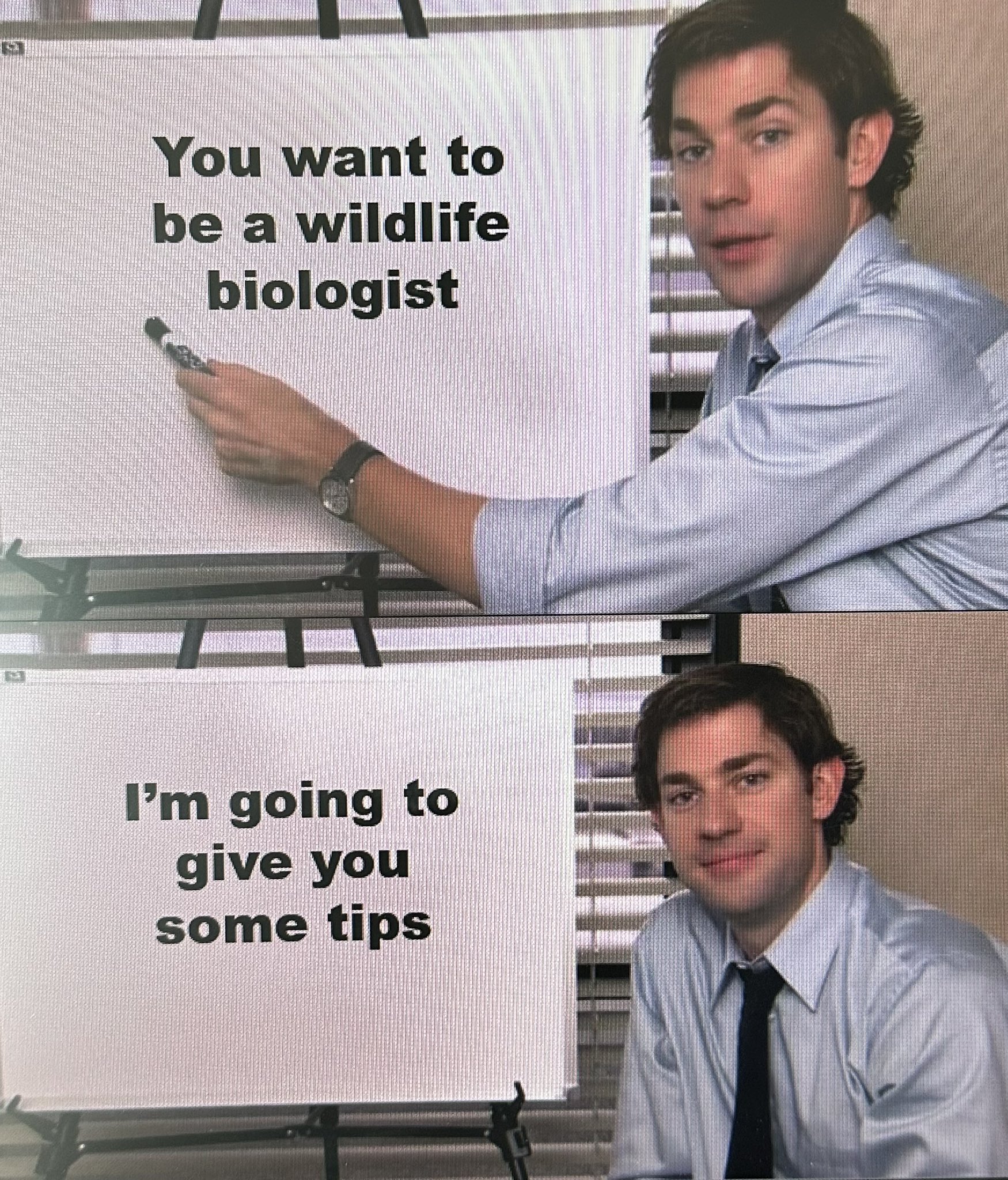 College Freshmen Meme Funniest College Freshman Memes