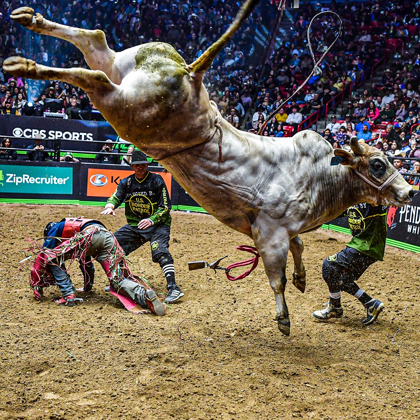 Bucking Bulls