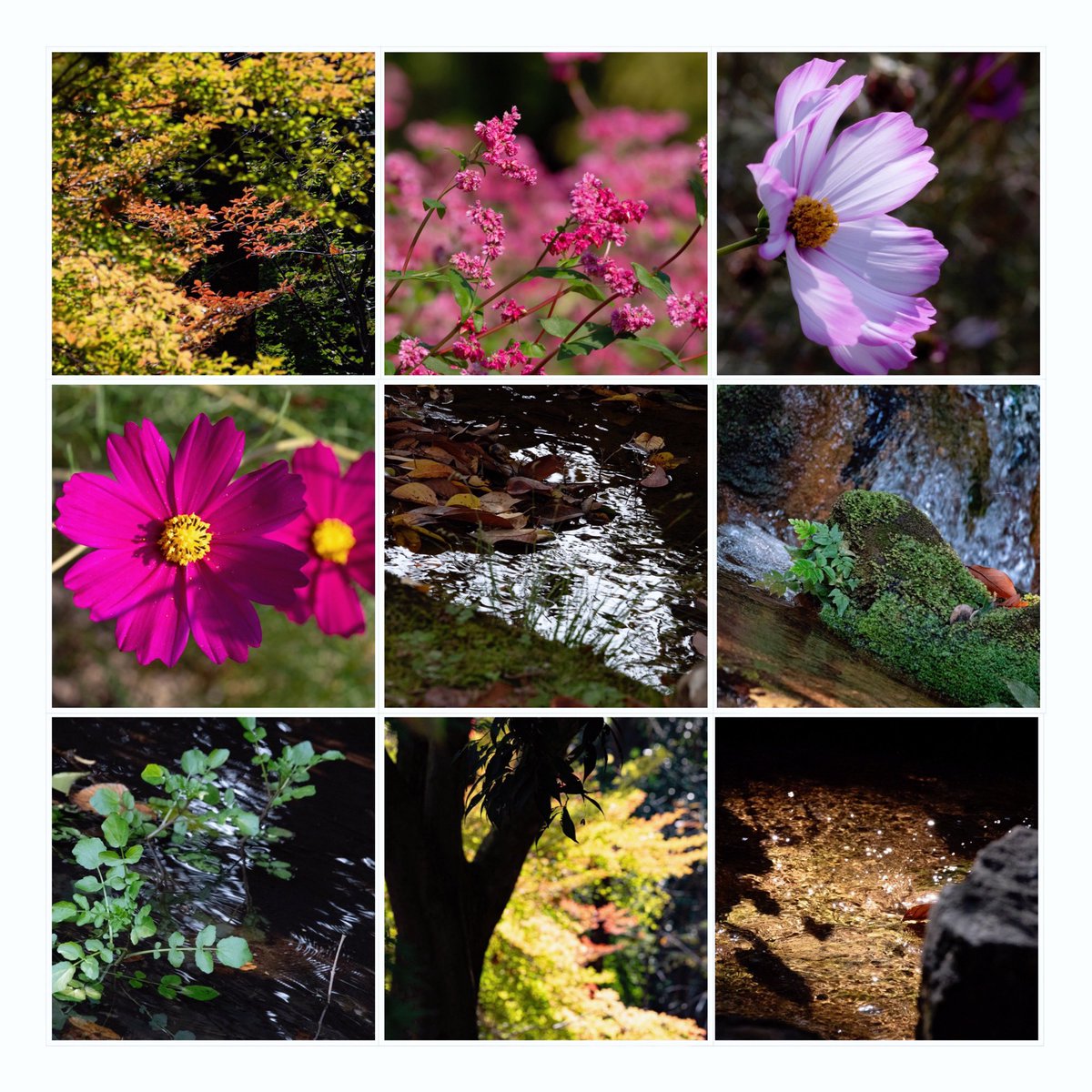 「aki~~~ 」mu-kaの漫画