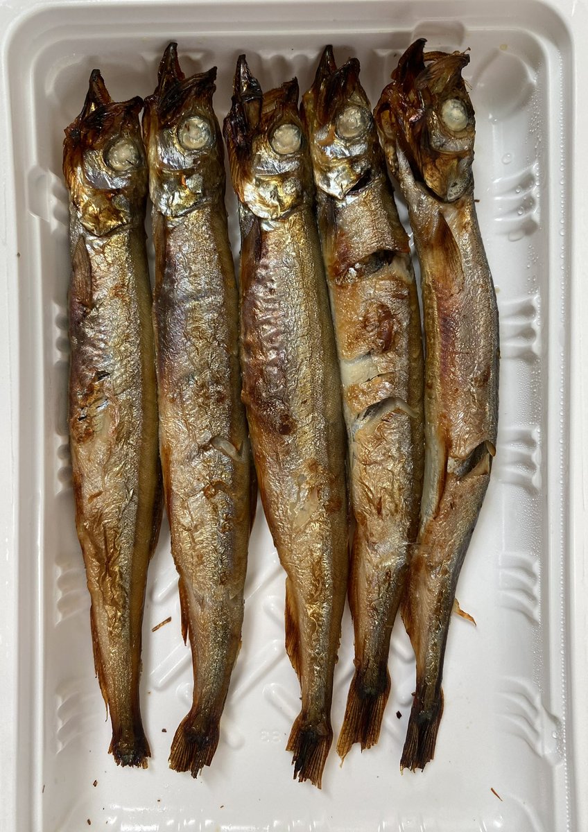 MISATO ANDO(みさとあんどう)のSNS(ブログ / X) | WEBザテレビジョン