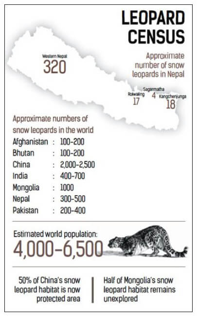Every year, 23rd October is observed as International Snow Leopard Day ...