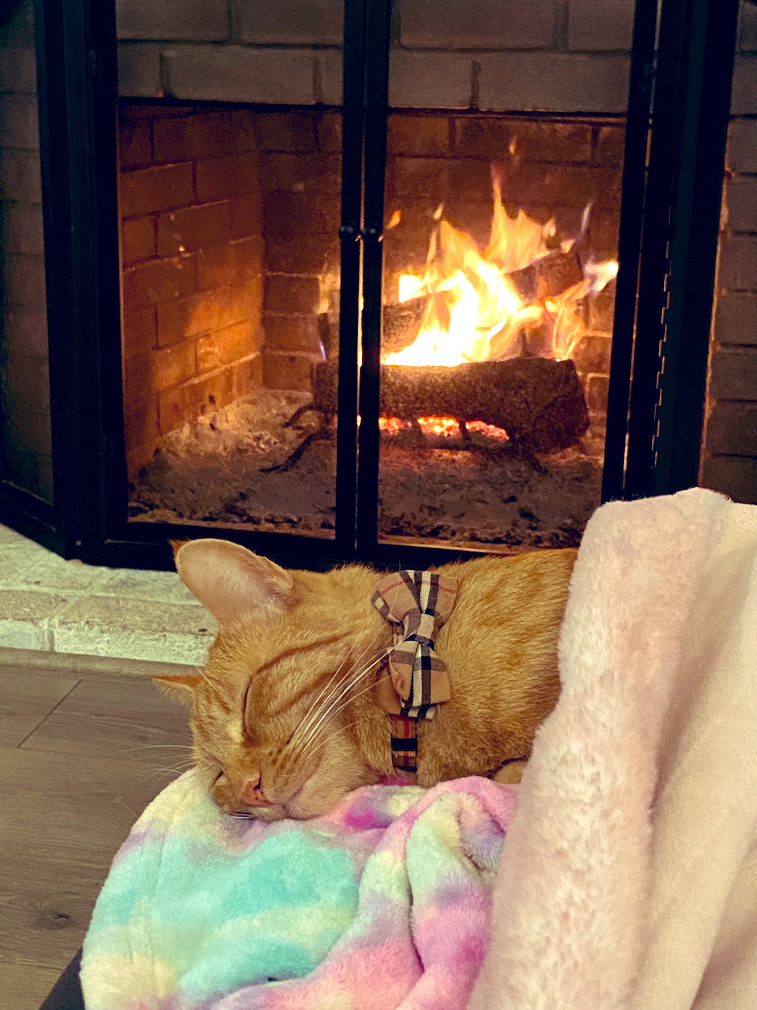Sleeping In Front Of A Fire