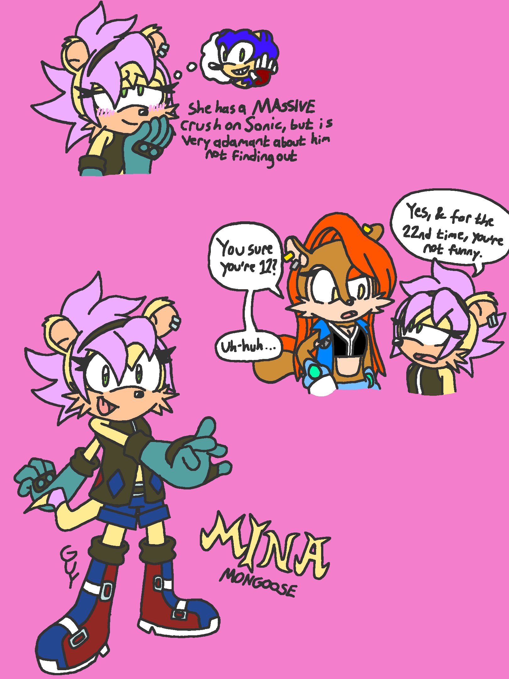 Mina Mongoose Vs Sally Acorn