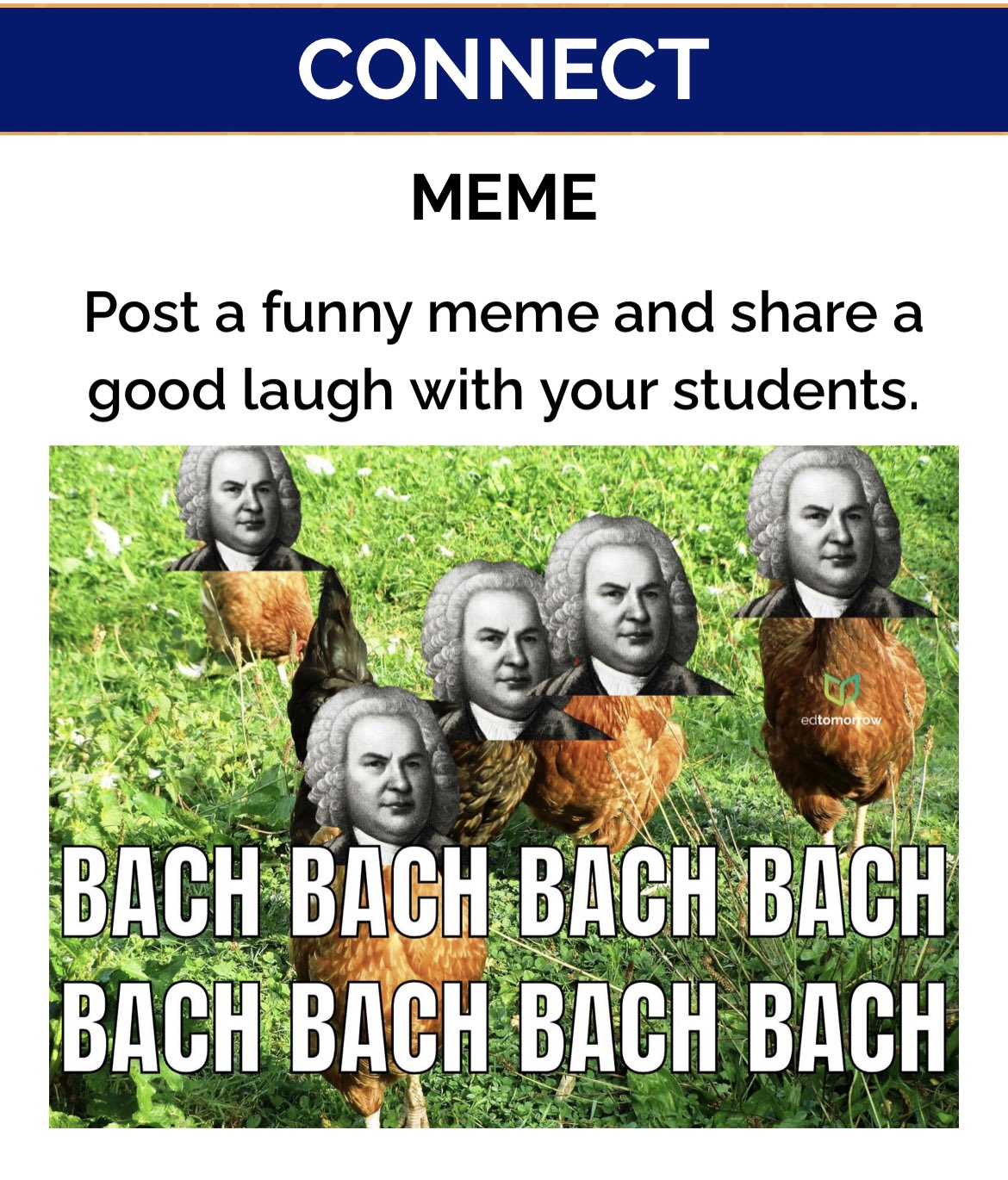 Bach Meme Shenywell Canvas Wall Art Painting The Composer Johann