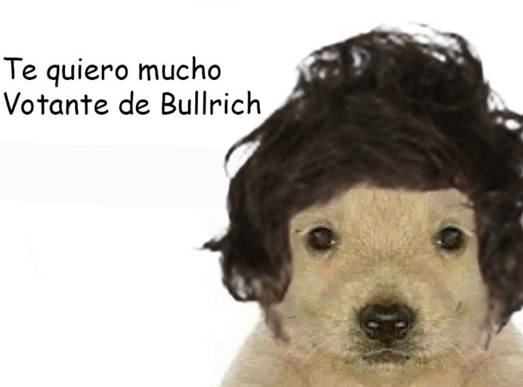 Memes De Perros Viejitos Perros Con Cara De Viejito | TikTok