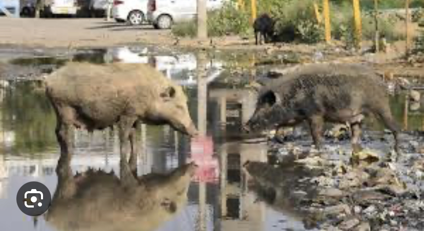 Death is an equalizer. Ultra millionaire Parag Desai & poor slum kids ...